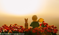 Rituals, how the Little Prince helps us to live well in confinement - ABG