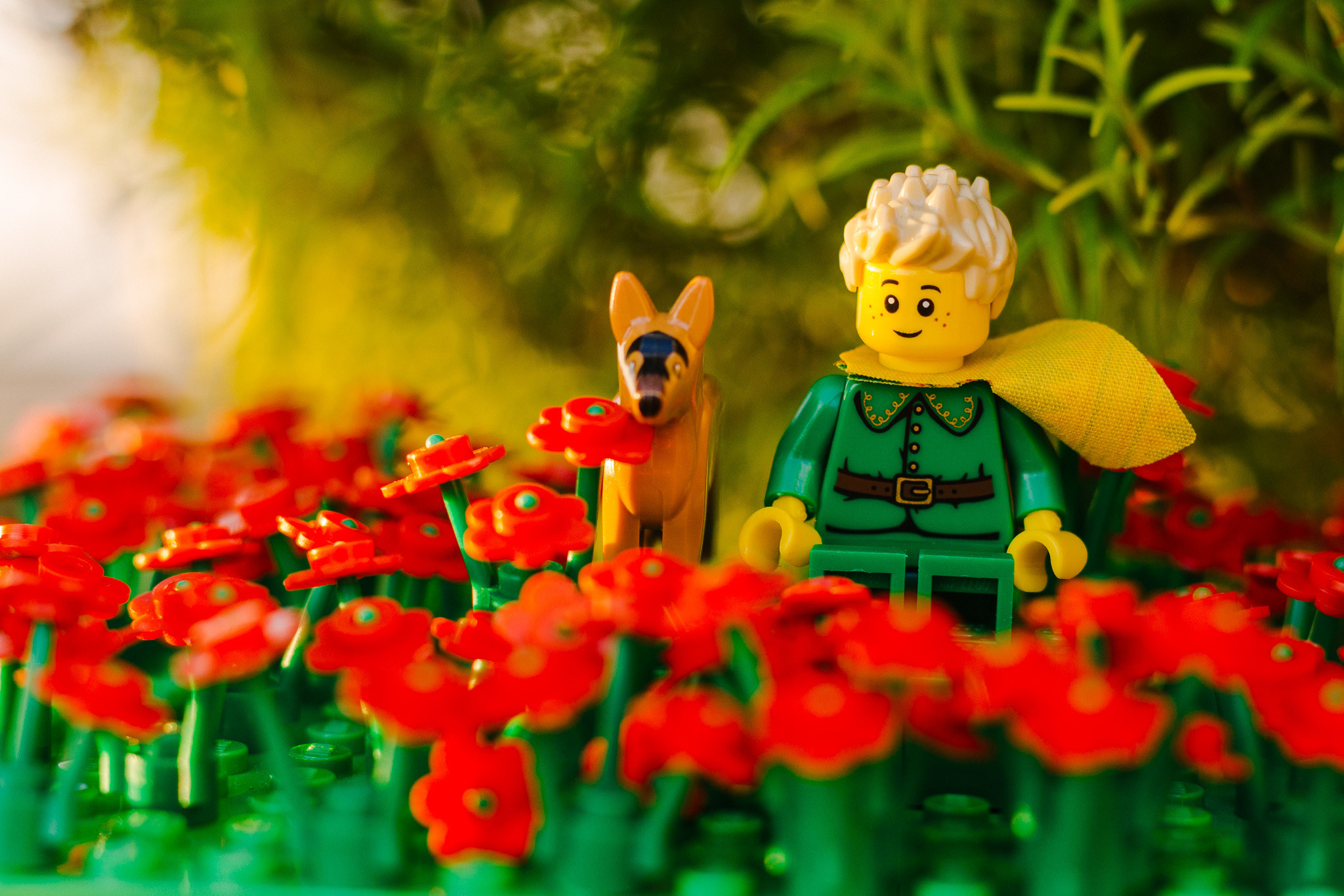 Rituals, how the Little Prince helps us to live well in confinement - ABG